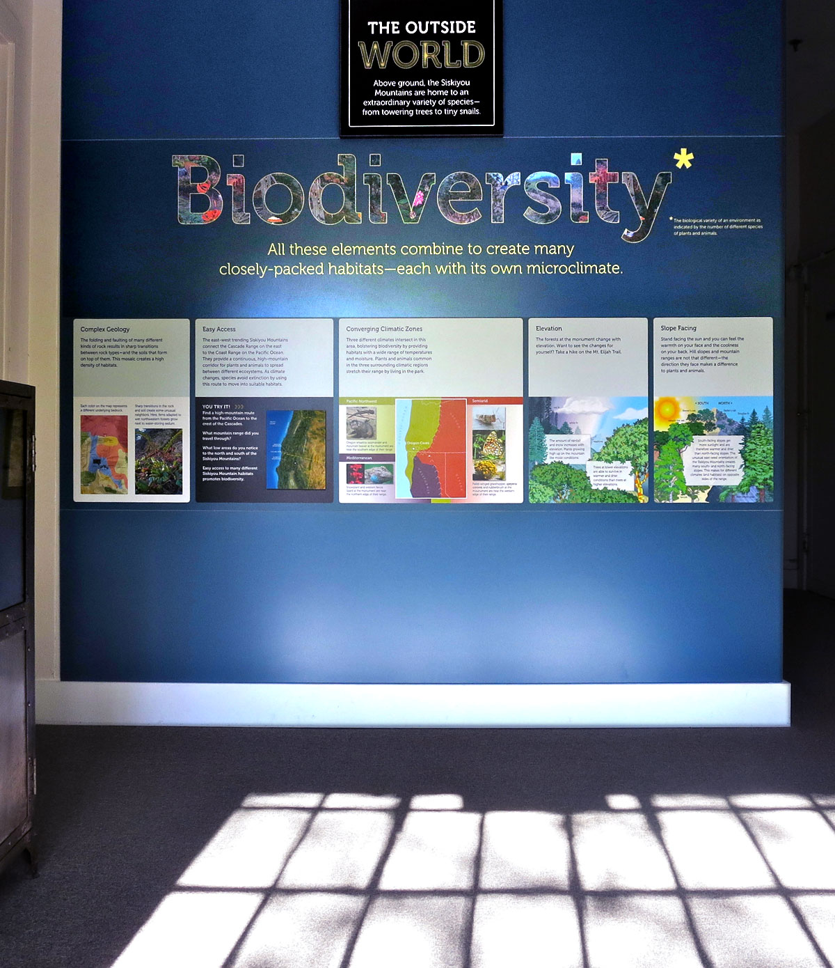 Joyce Mihran Turley Illustration; Murals and Exhibit InfoGraphics for ...